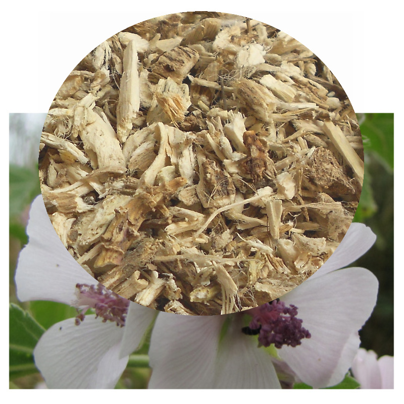 Marshmallow Root Shredded Root | Koda Botanicals