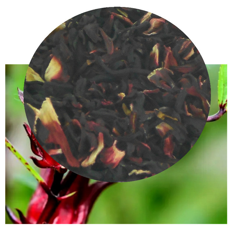 Organic Hibiscus Tea for Refreshment and Health Benefits | Koda Botanicals