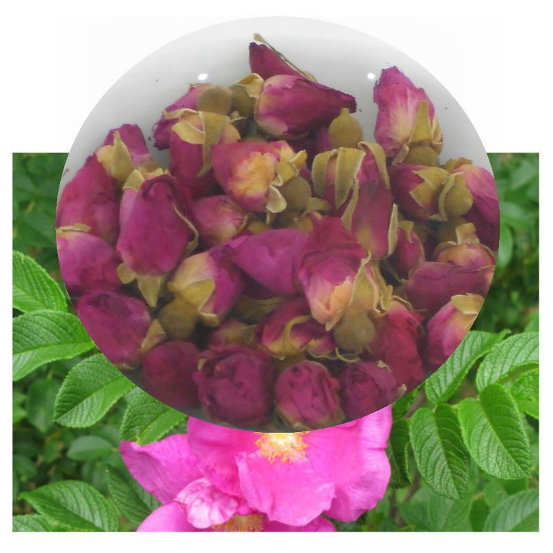 Red Rose Bud (Beach Rose) Tea for Gynaecological Health | Koda Botanicals